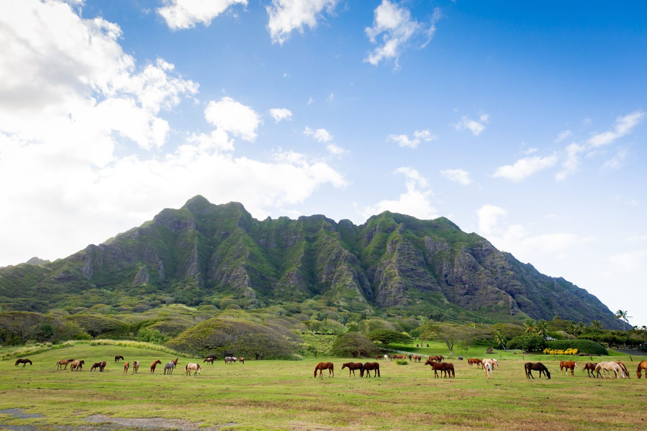 Adventures at Kualoa Ranch