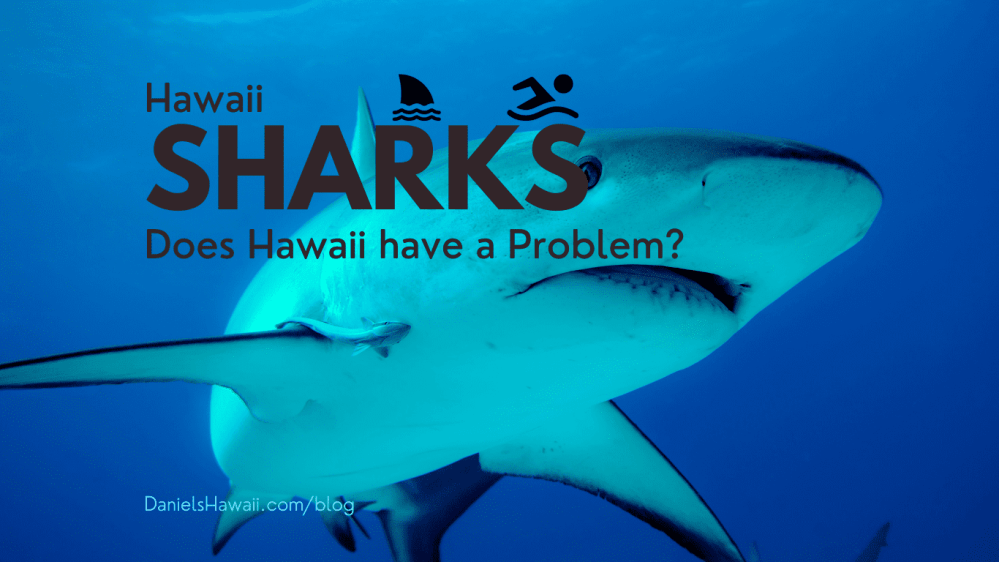 Shark Attacks in Hawaii