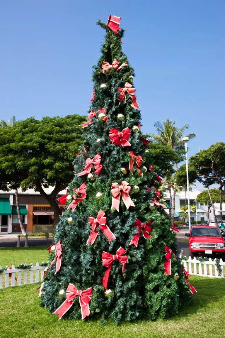 Christmas Season in Hawaii - What to Expect