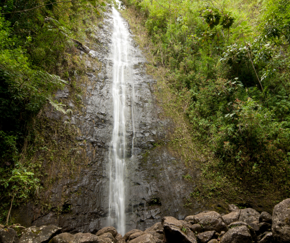 Diamond Head Crater & Manoa Falls Waterfall Tour | Daniels Hawaii